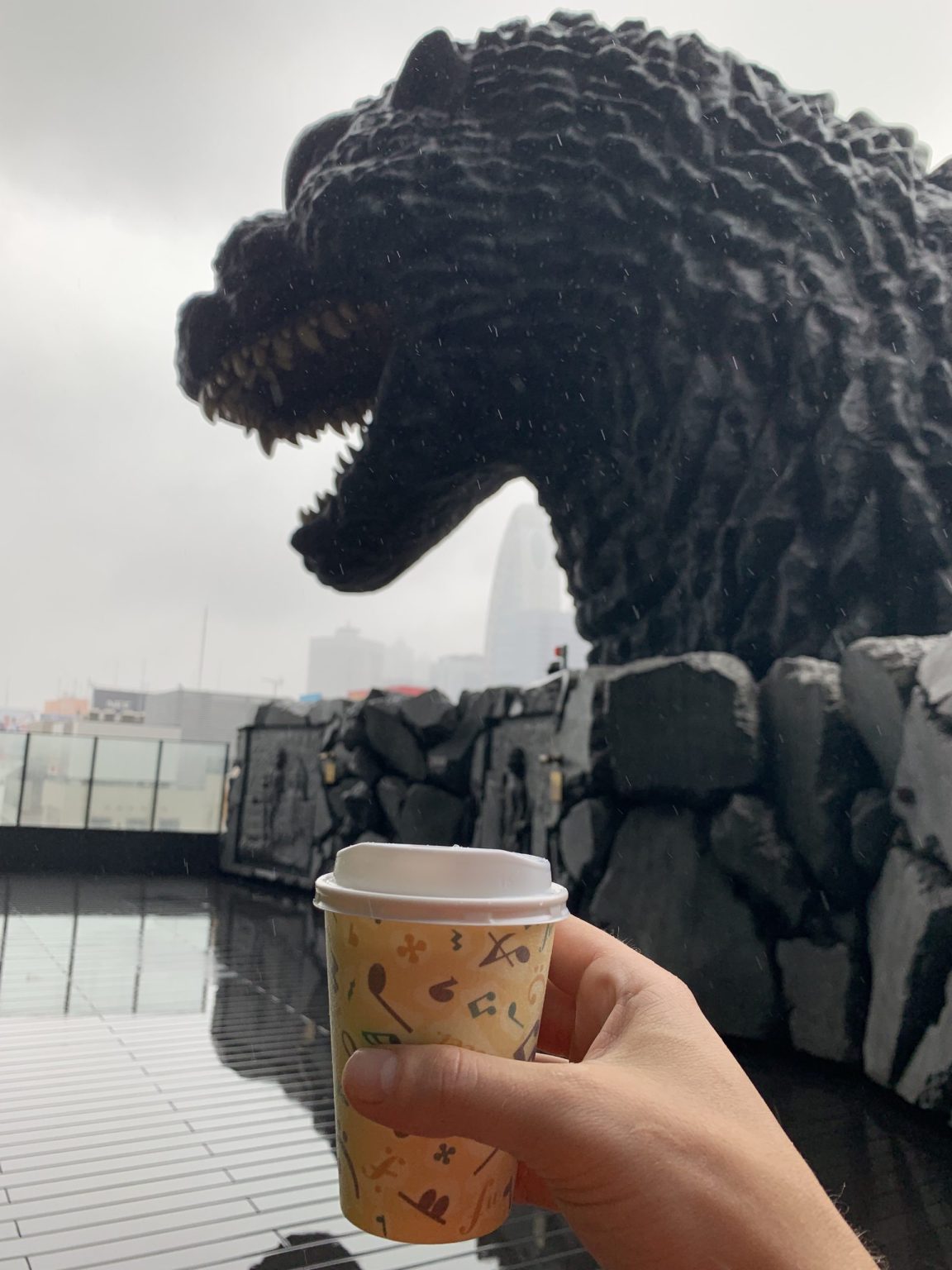 Everything you need to know about Japan AND a 10-day Itinerary